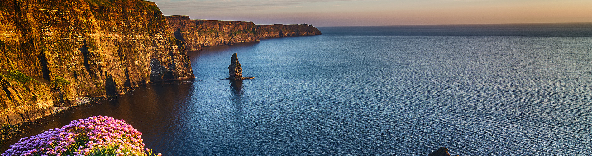 Terms and Conditions | Brophy Estates